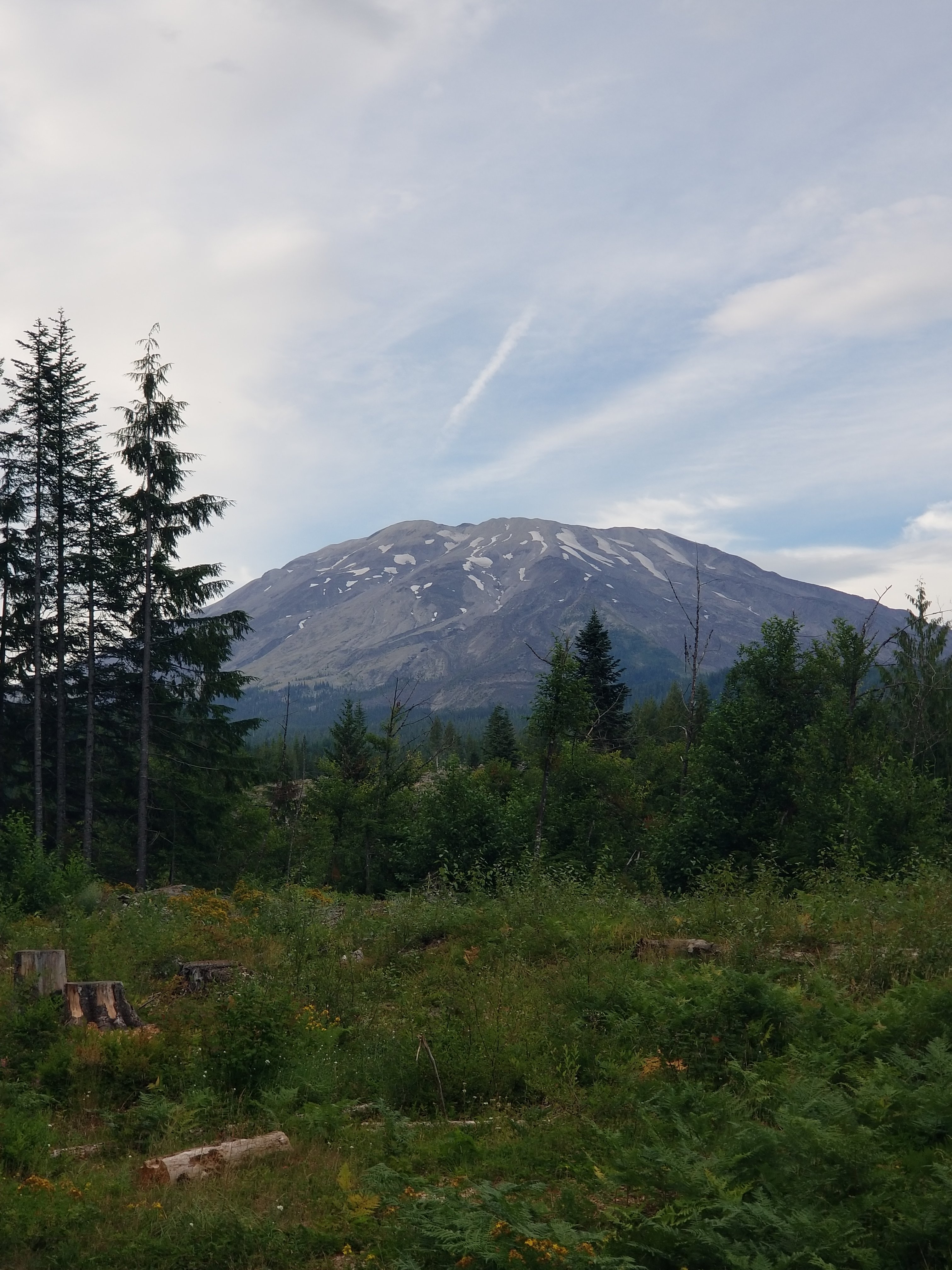 Volcanic 50K Ultramarathon – Mount St. Helens – MovingMountains